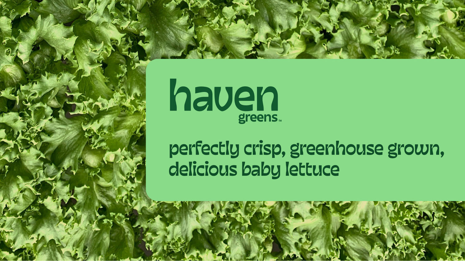 Kinghaven Farms Announces the Launch of Haven Greens